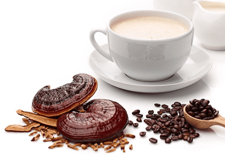 The Magic Elixir: Unlocking The Hidden Joys Of Ganoderma ‌Coffee ...